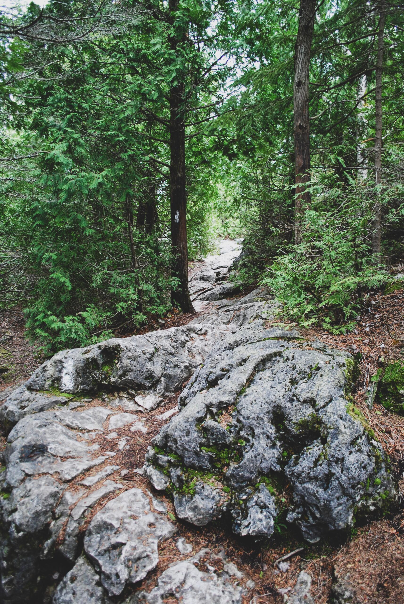 The Bruce Tours | The Casablanca Hotel